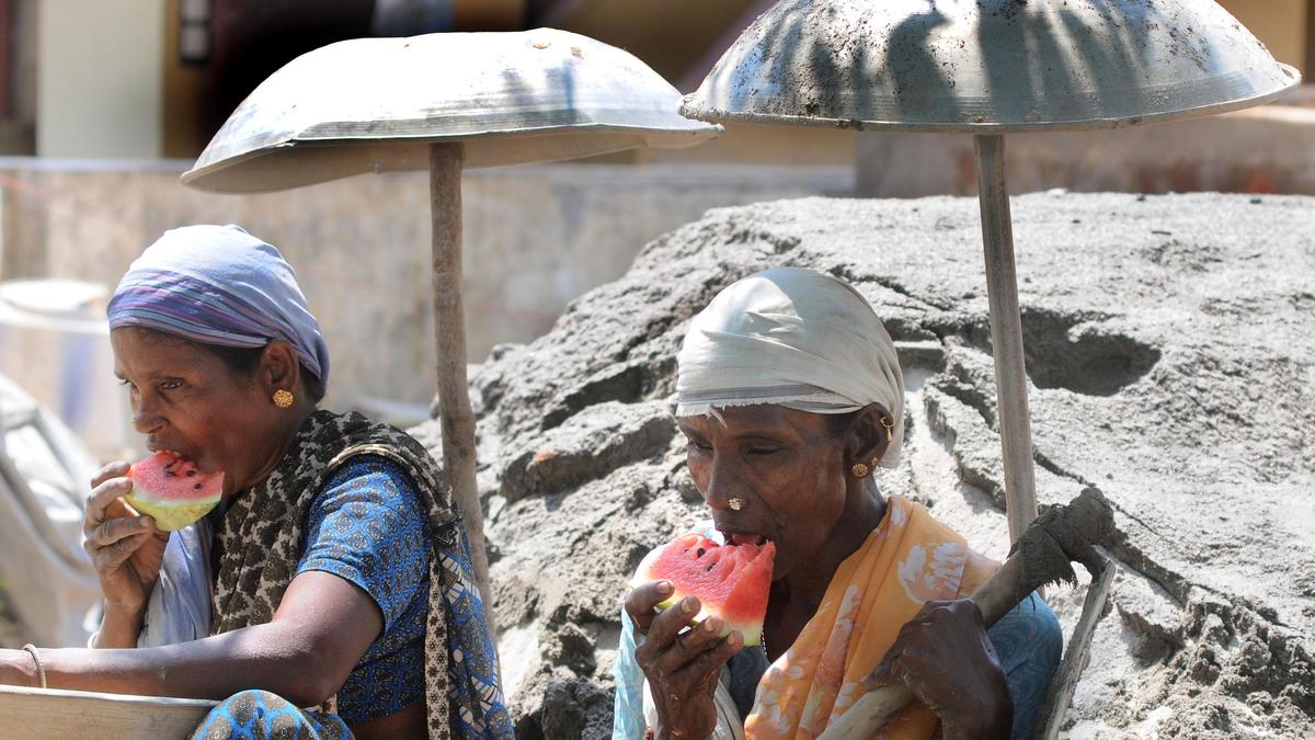 High heat raises risk of productivity loss among outdoor workers in T.N ...