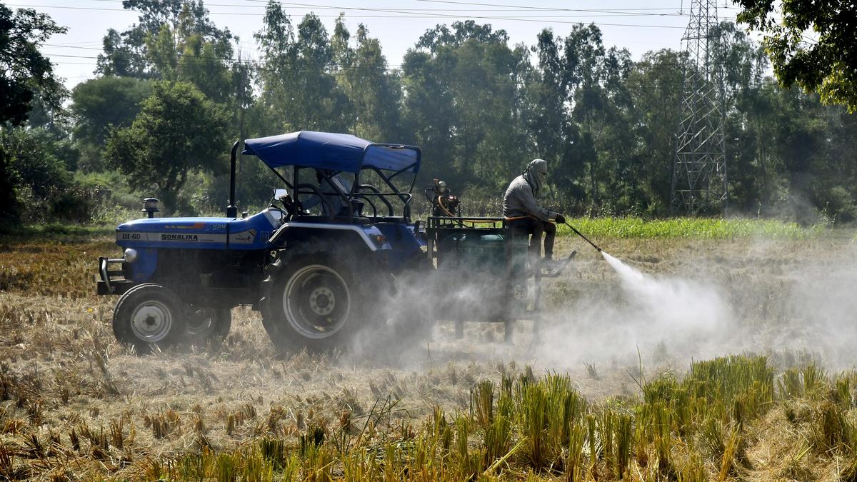 Delhi govt. to spray bio-decomposer solution over paddy fields to check ...
