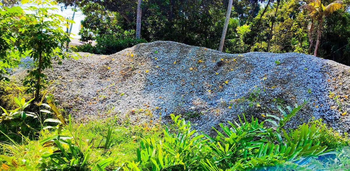 Lime shell sector faces headwinds - The Hindu