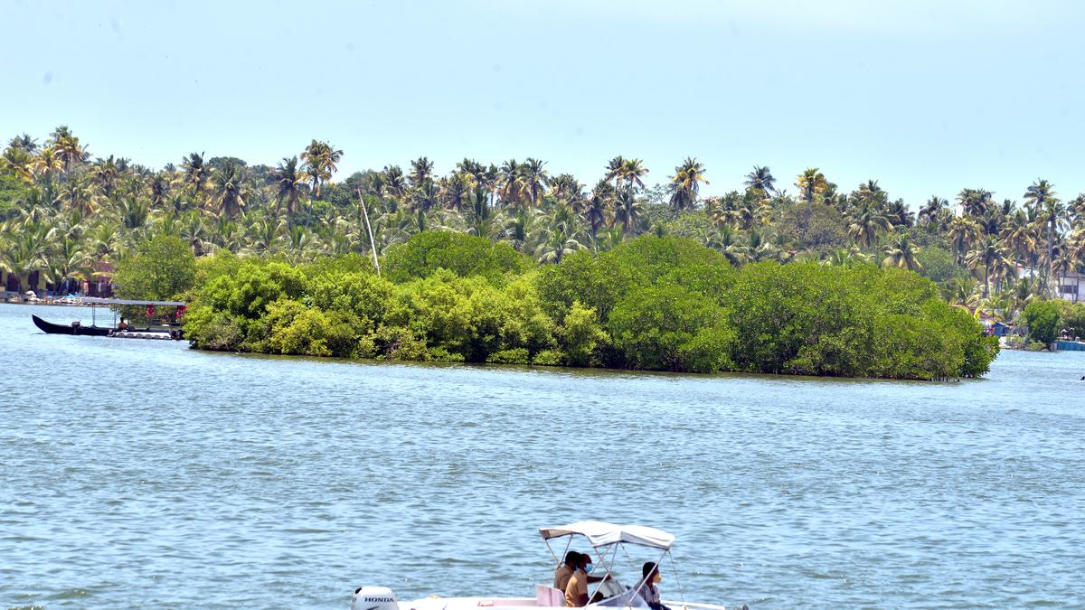 Tourism activities at Sambranikodi in Kollam to be regulated - The Hindu