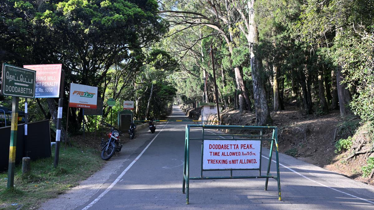 doddabetta peak timings
