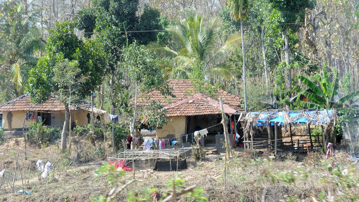 Tribal communities identify 5 goals as imperative for their welfare ...