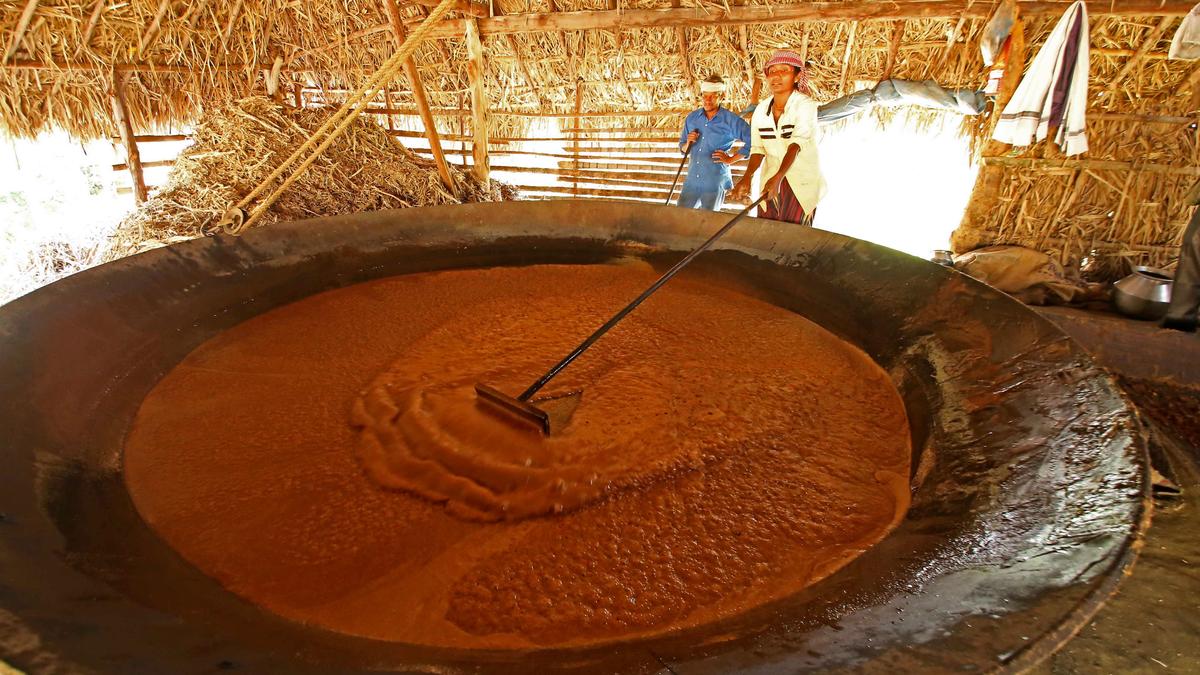 Marayur jaggery: new production and processing facilities to be set up ...