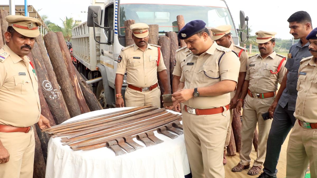 Tirupati, Kadapa police seize huge cache of red sanders - The Hindu