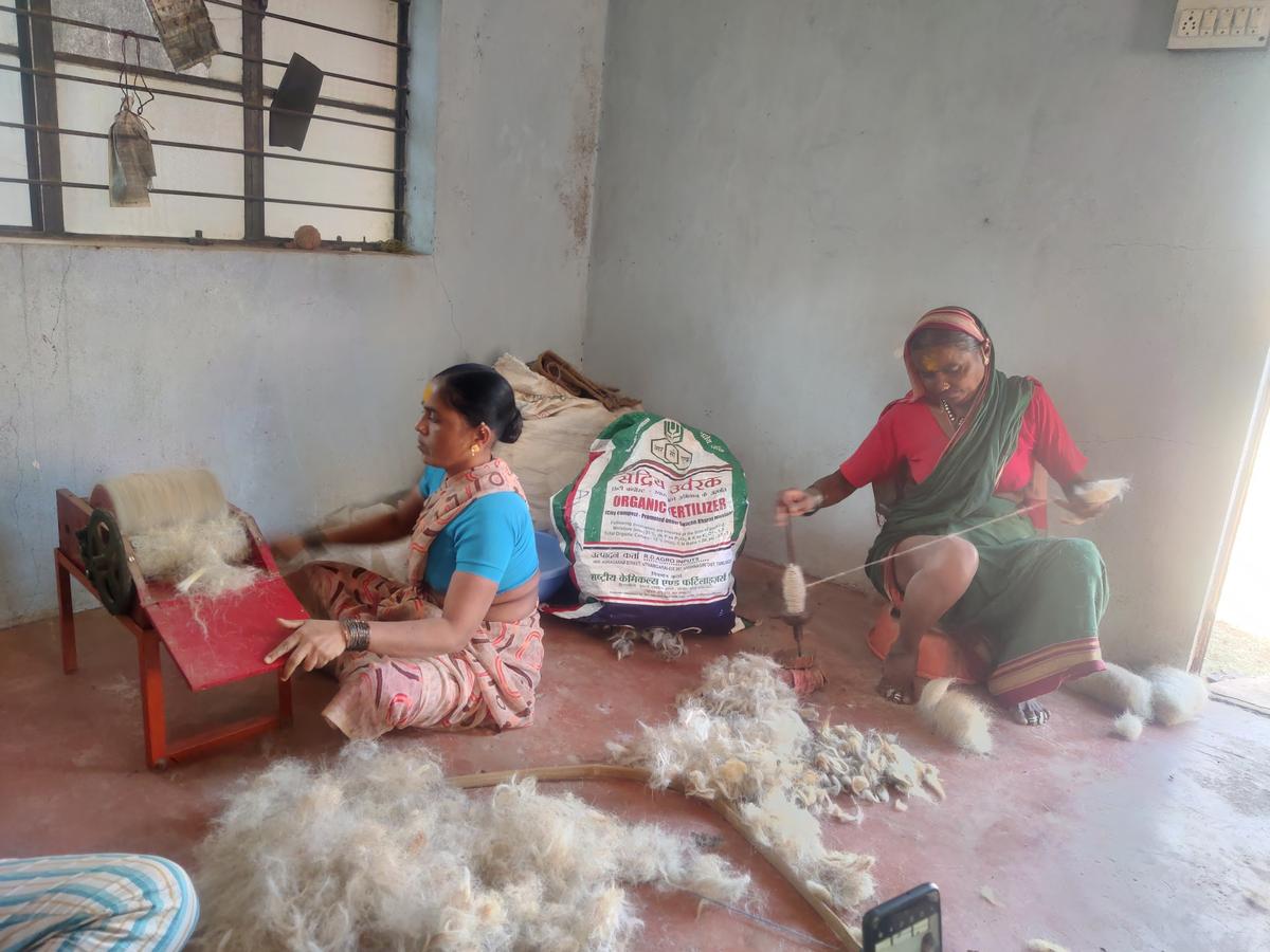 Shepherding: adding to the informal farm economy of North Karnataka ...