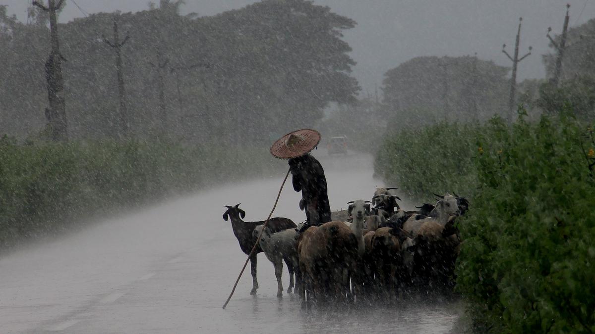 September rainfall washes off India’s drought fears - The Hindu