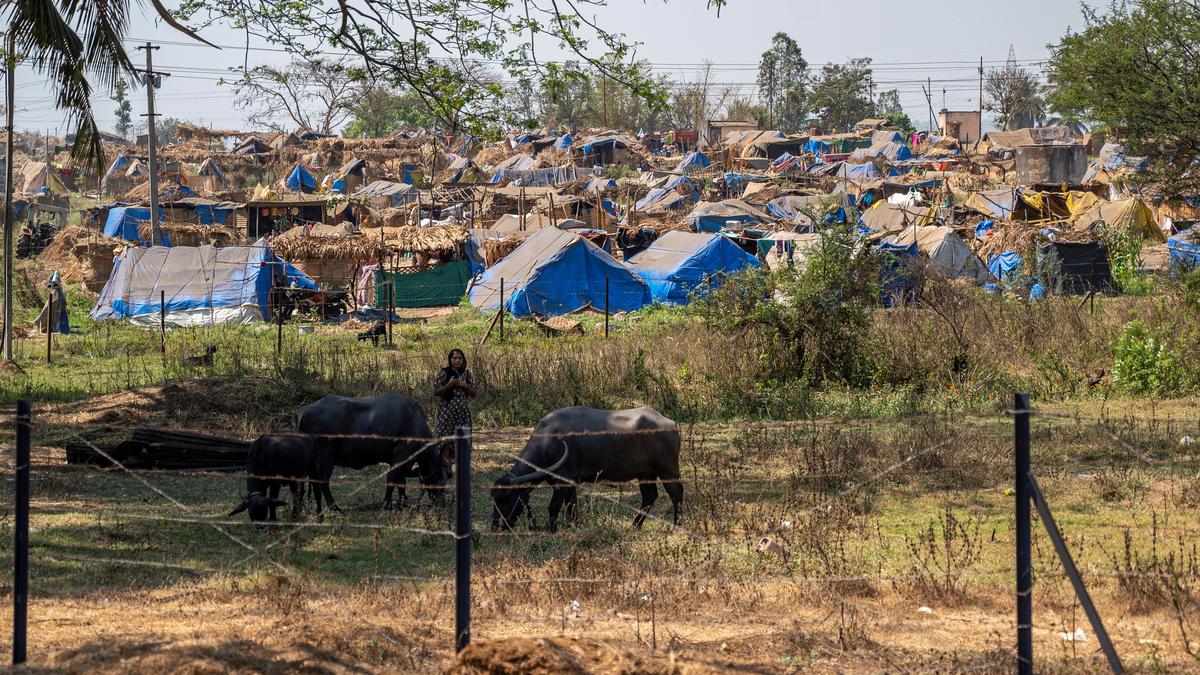 HC issues notice to Maharashtra govt. taking cognisance of The Hindu’s ...