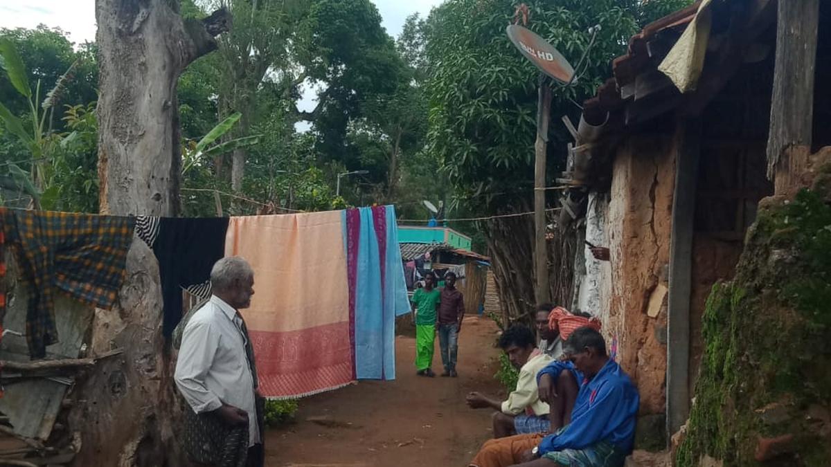 Challenges of network issues, wild animals and logistics in conducting ...