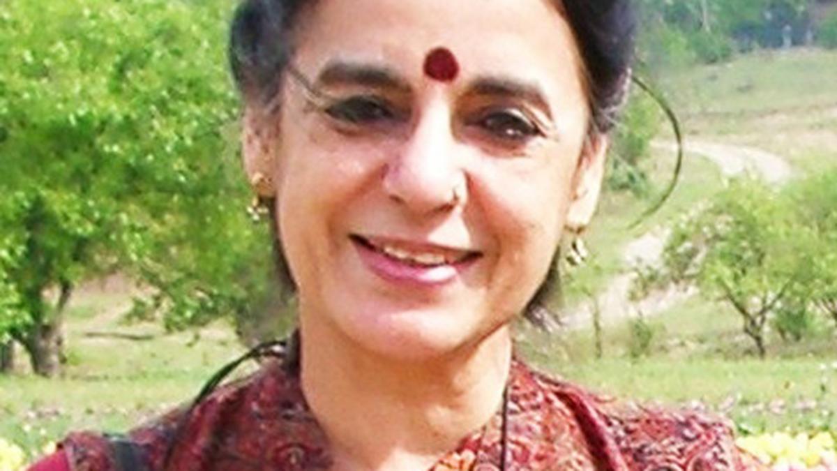 Gender audit framework should be participatory: Anita Rampal - The Hindu