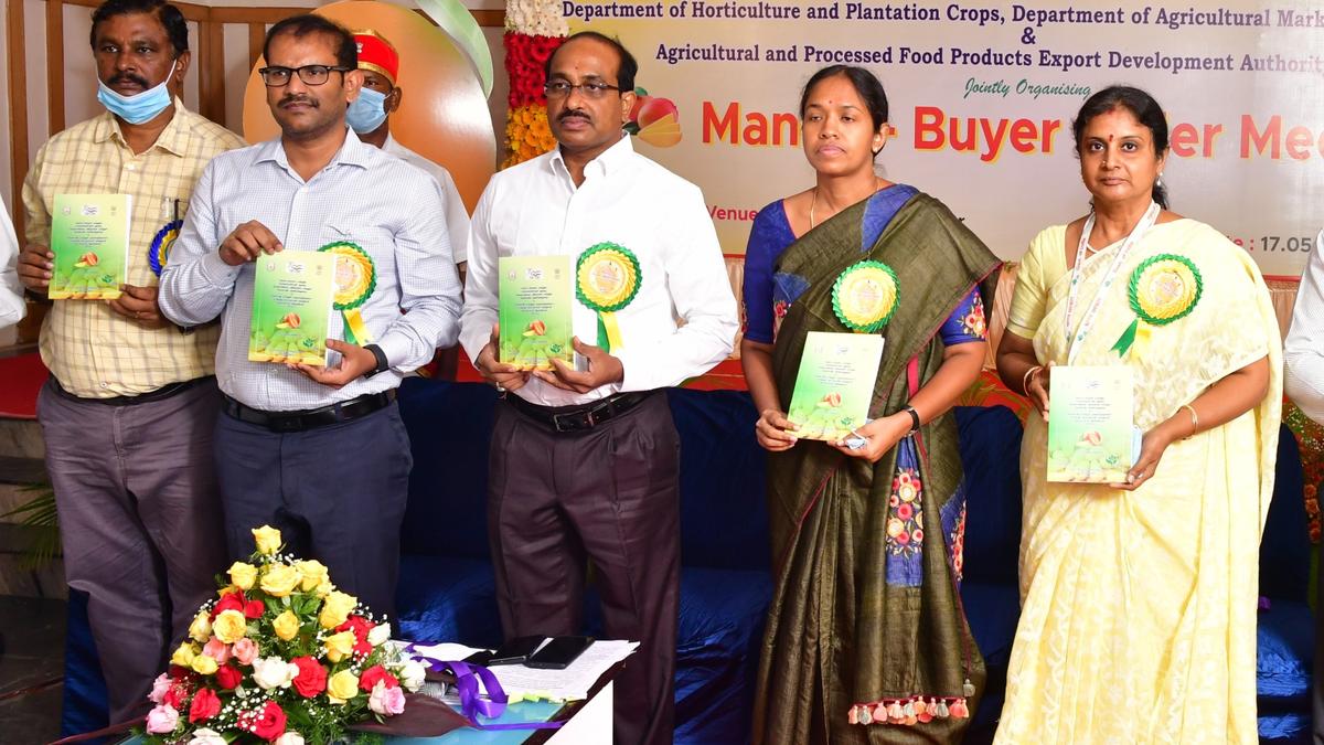 Mango Buyer-Seller Meet held in Hosur - The Hindu