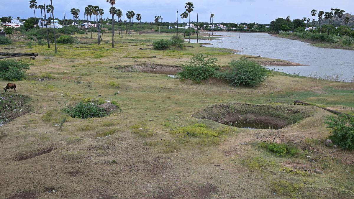 Paddy cultivation only on lands close to irrigation channels in ...