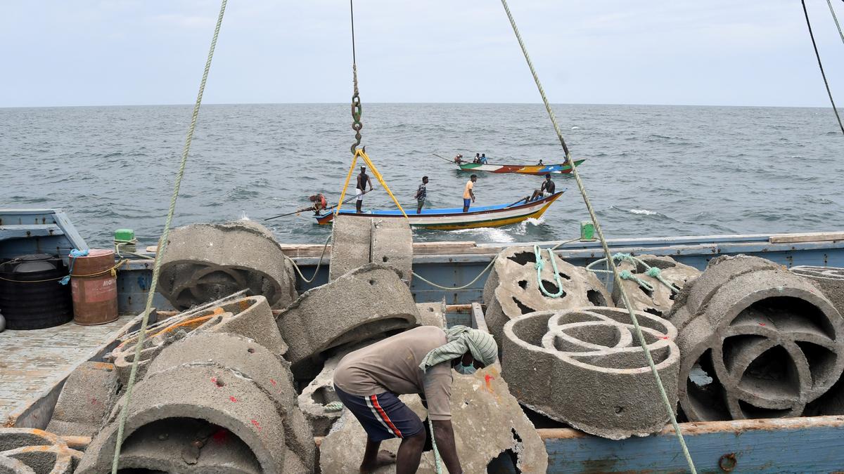 Karnataka coast to get 56 artificial reefs to facilitate fish breeding ...