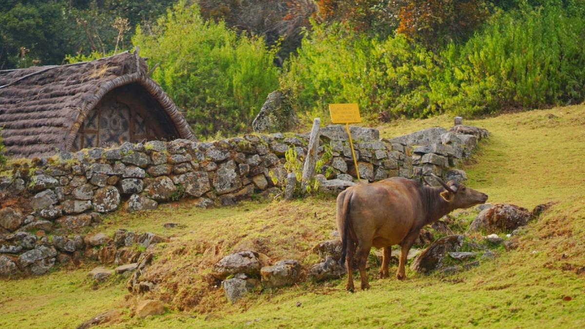 Off the beaten track in Ooty - The Hindu
