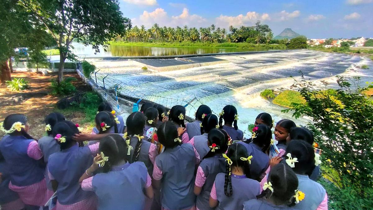 Students take out heritage walk to Kalingarayan anicut in Erode - The Hindu