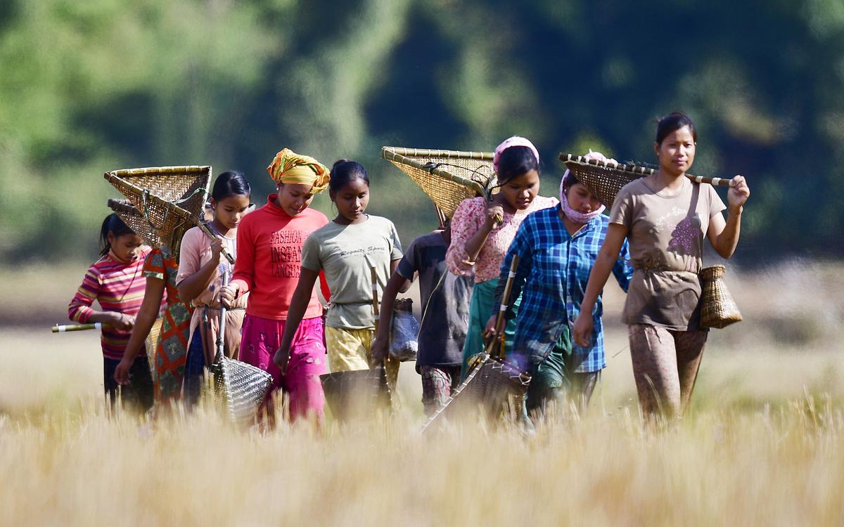 Exploring the Unique Tribal Traditions and Sustainable Economies in ...