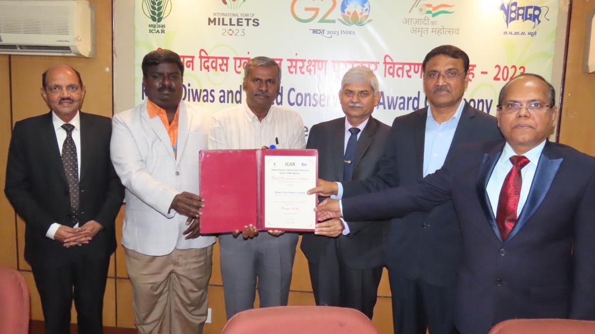 Bargur Cattle Research Station gets award for conservation of breed ...