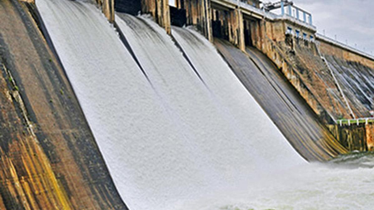 Water level in Papanasam and Manimuthar dams - The Hindu