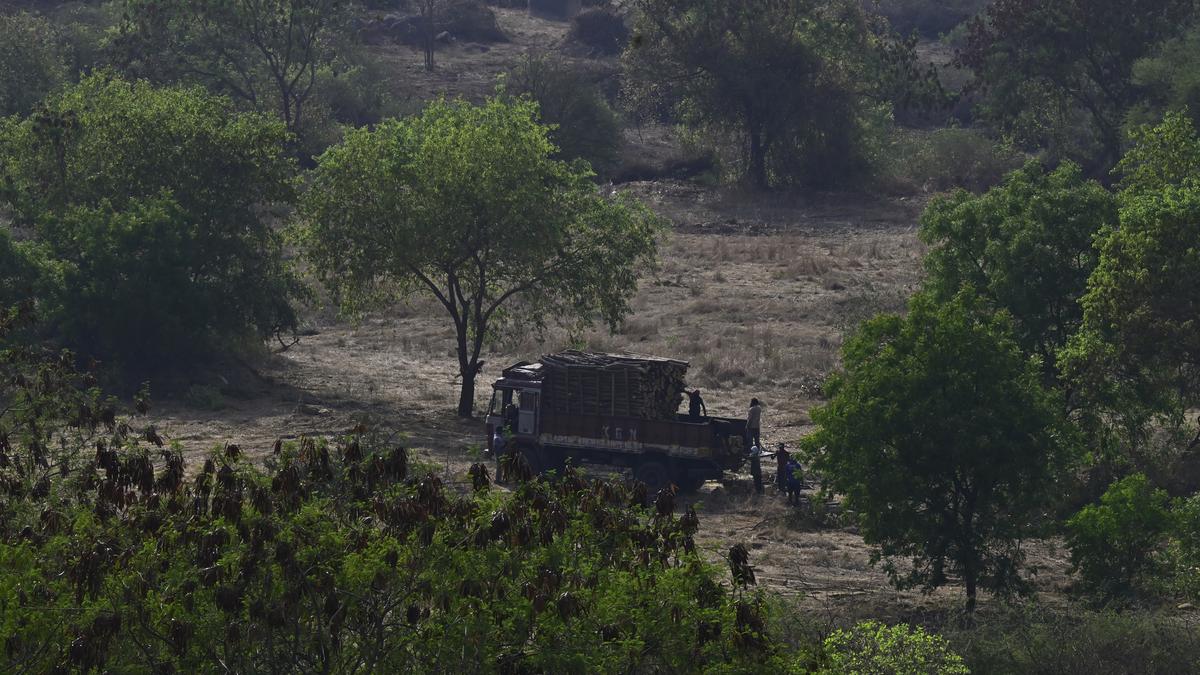 Telangana deforestation: Supreme Court says destruction in Kancha Gachibowli ‘forest’ area ...