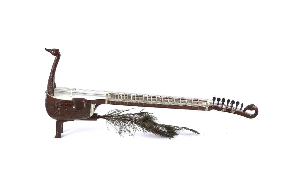 A bridge to the beautiful world of birds and birdsong - The Hindu