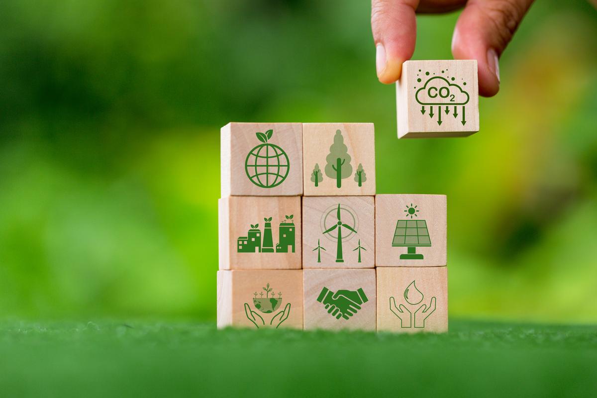 Review of Johannes Urpelainen’s Energy and Environment in India: Fossil-free future - The Hindu