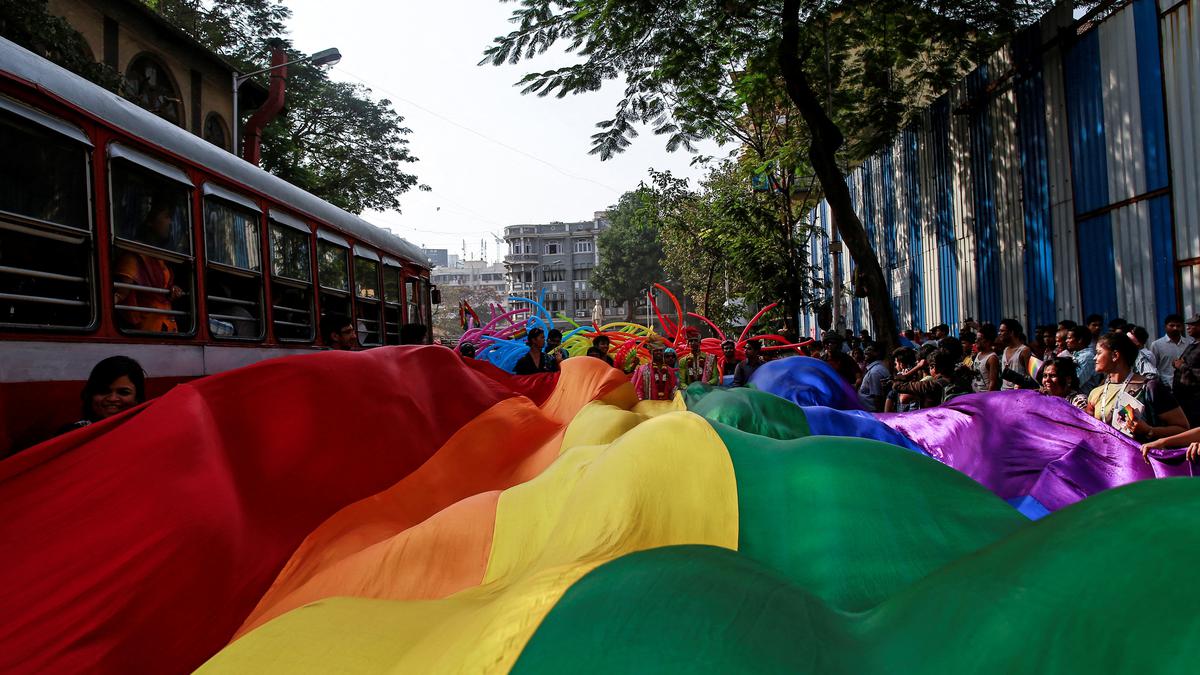 What Legalisation Of Same Sex Marriage Will Mean In India In Focus