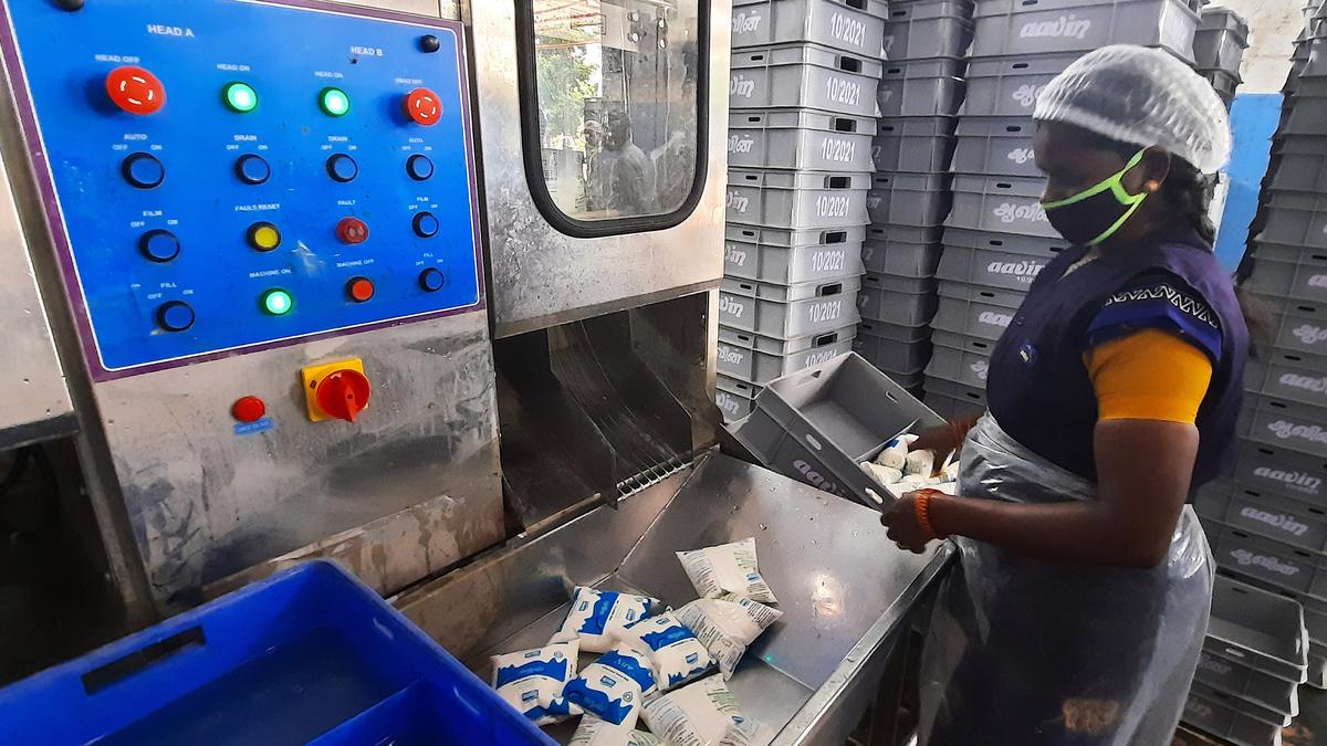 Aavin to augment milk processing capacity - The Hindu