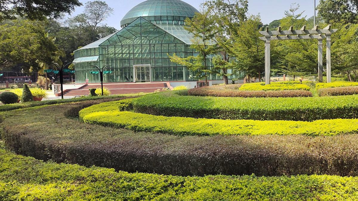 Mysuru tourism to get a new logo, slogan this Dasara - The Hindu