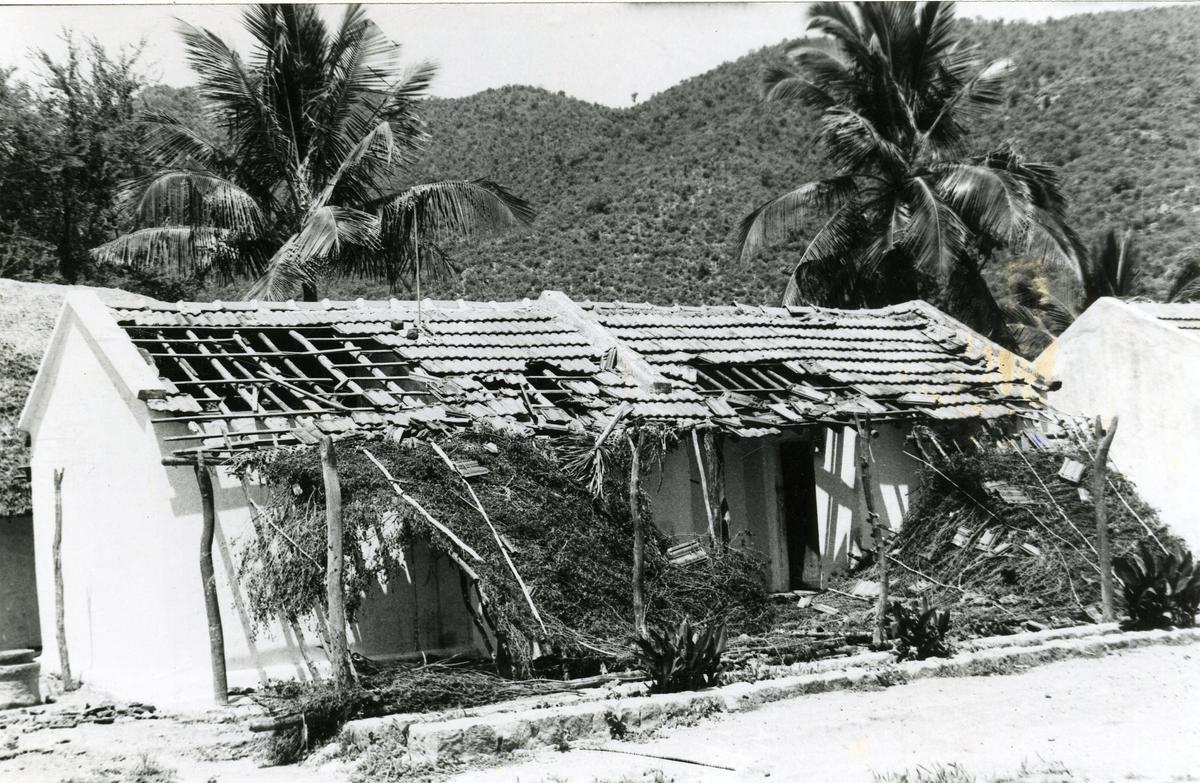 The Vachathi story: justice delivered, after the State turns mob - The ...