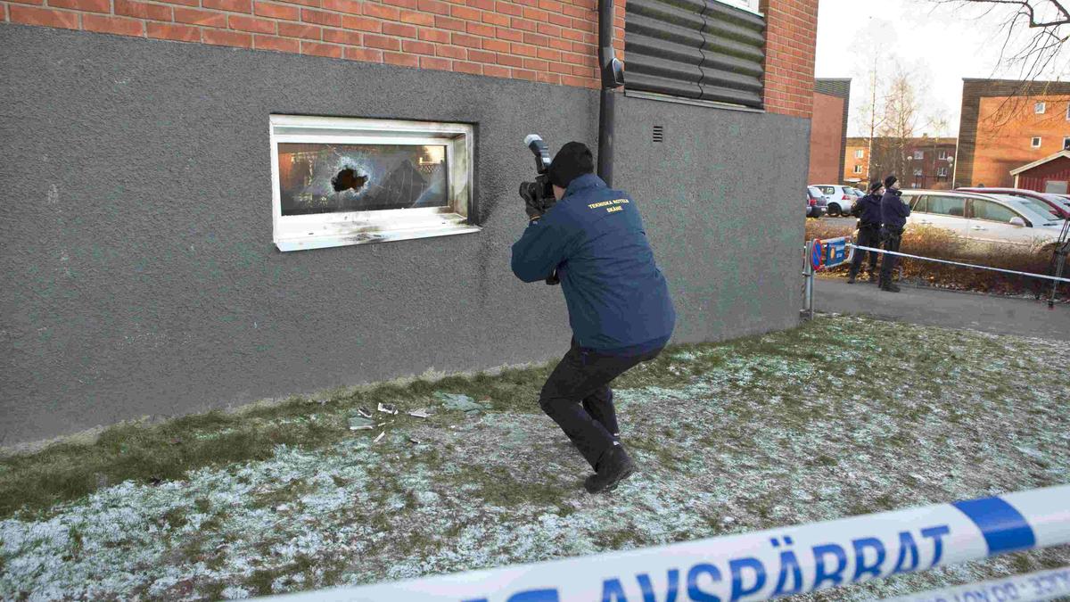 Dead boar dumped at Swedish mosque, police probe hate crime - The Hindu