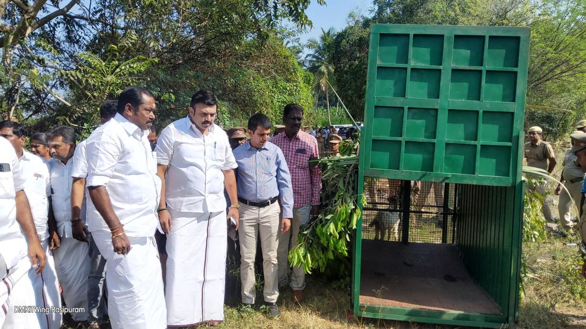 Cage placed to trap leopard at Irukkur village in Paramathi Velur - The ...