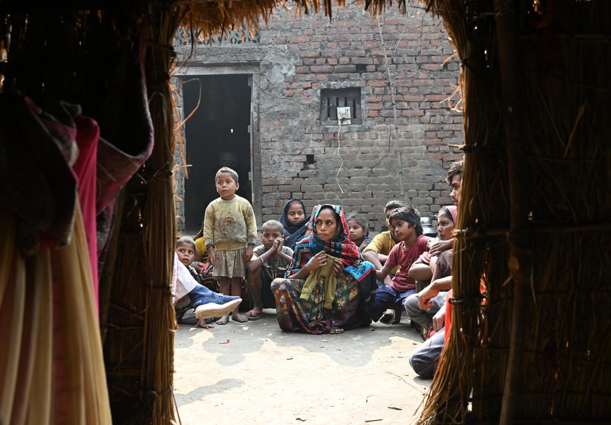 wolf attack human in india