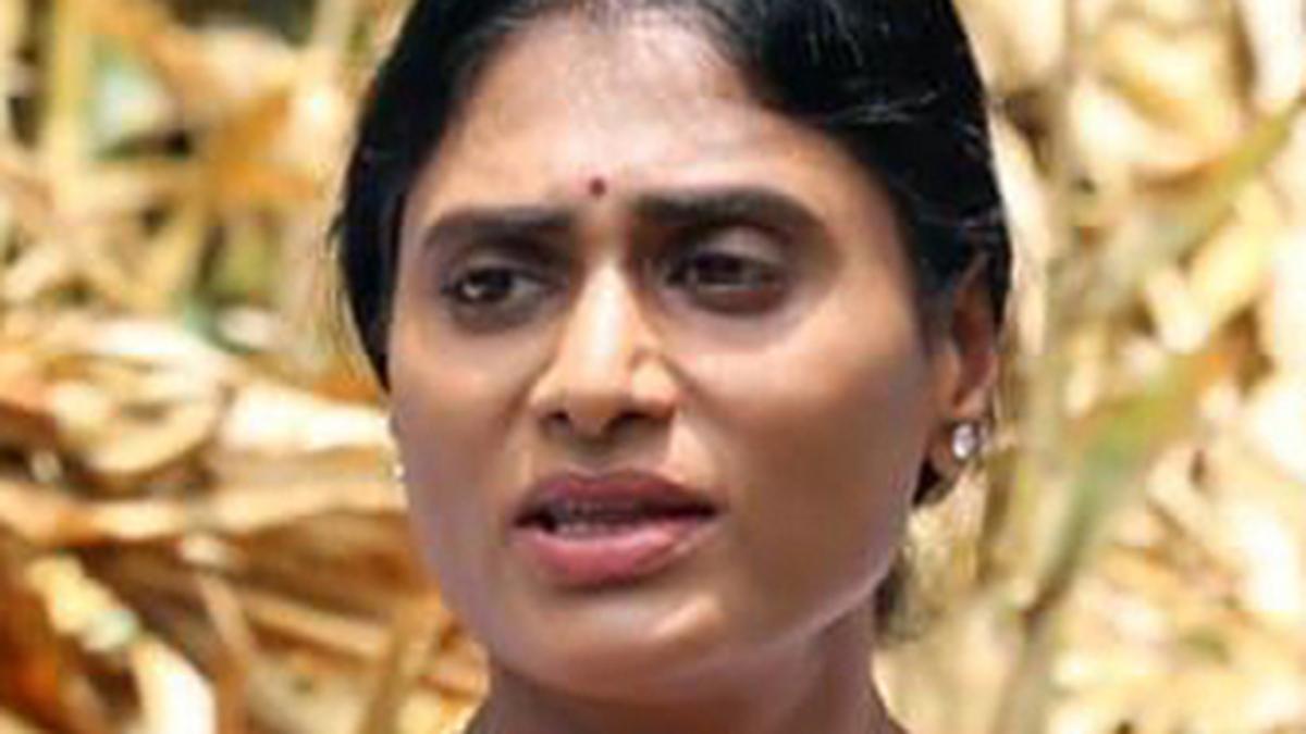 Sharmila congratulates Rahul Gandhi on being reinstated as MP - The Hindu