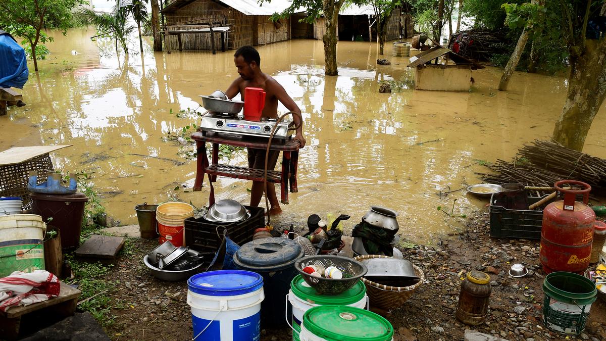 Assam flood situation improves - The Hindu