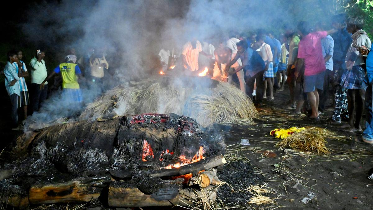 Kallakurichi hooch tragedy: How did it happen despite similar tragedies last year, Madras High ...