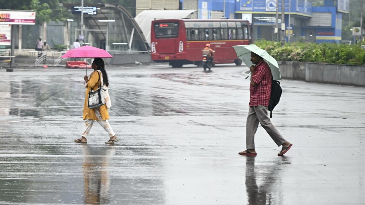 North T.N. to experience mild weather and rainfall for three days - The ...