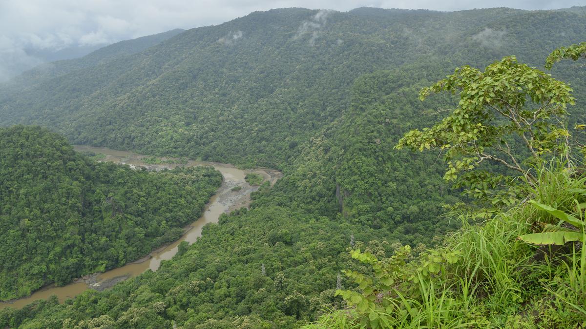 Goa-Tamnar transmission project: Karnataka gets a breather from CEC ...