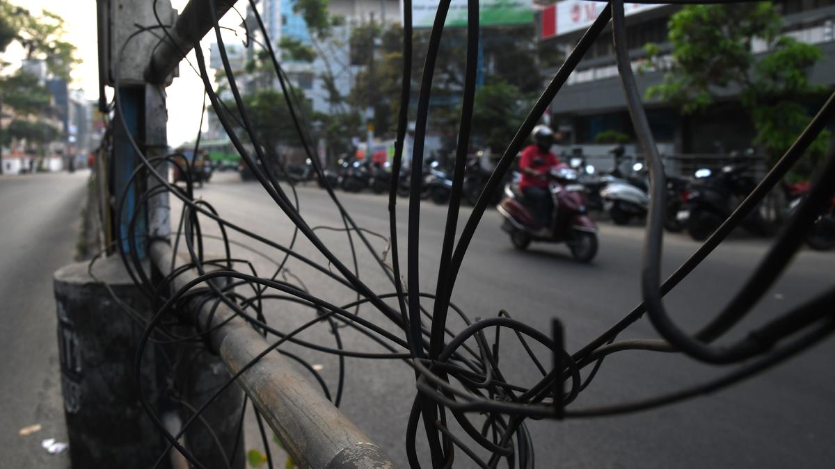 High Court orders KSEB to remove untagged cables - The Hindu