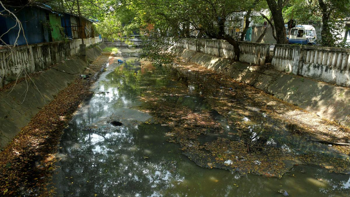 After years of neglect, restoration of Grand Canal begins - The Hindu