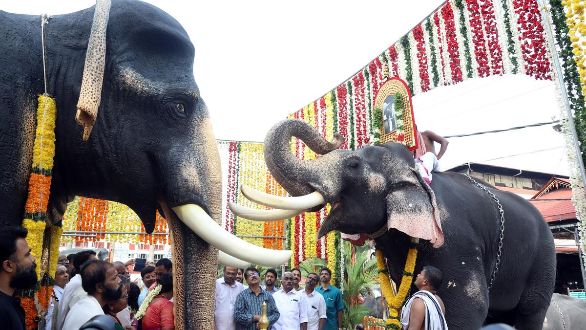 Legendary elephant Guruvayur Kesavan remembered - The Hindu