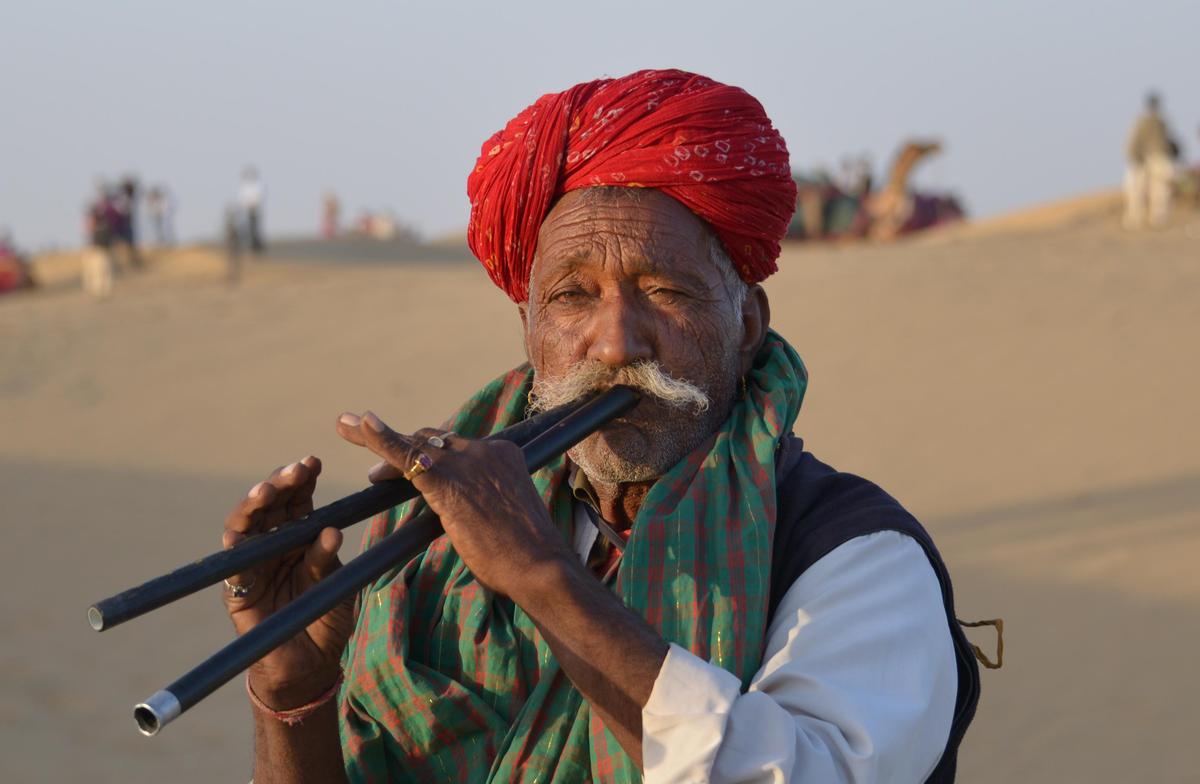Unsung India: Musical instruments you haven’t quite heard of - The Hindu