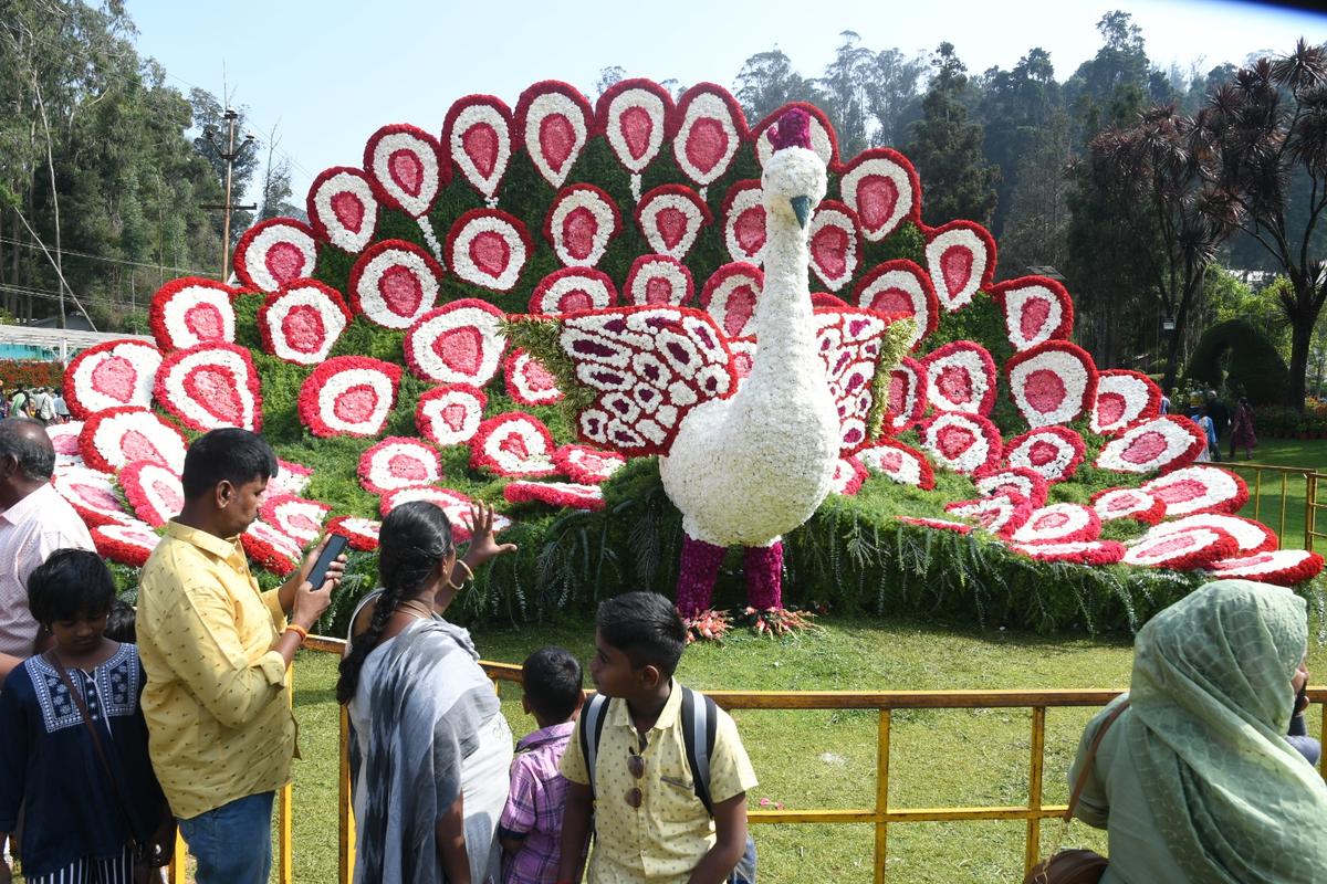 Nilgiris bicentenary celebrations | John Sullivan stood for principles ...