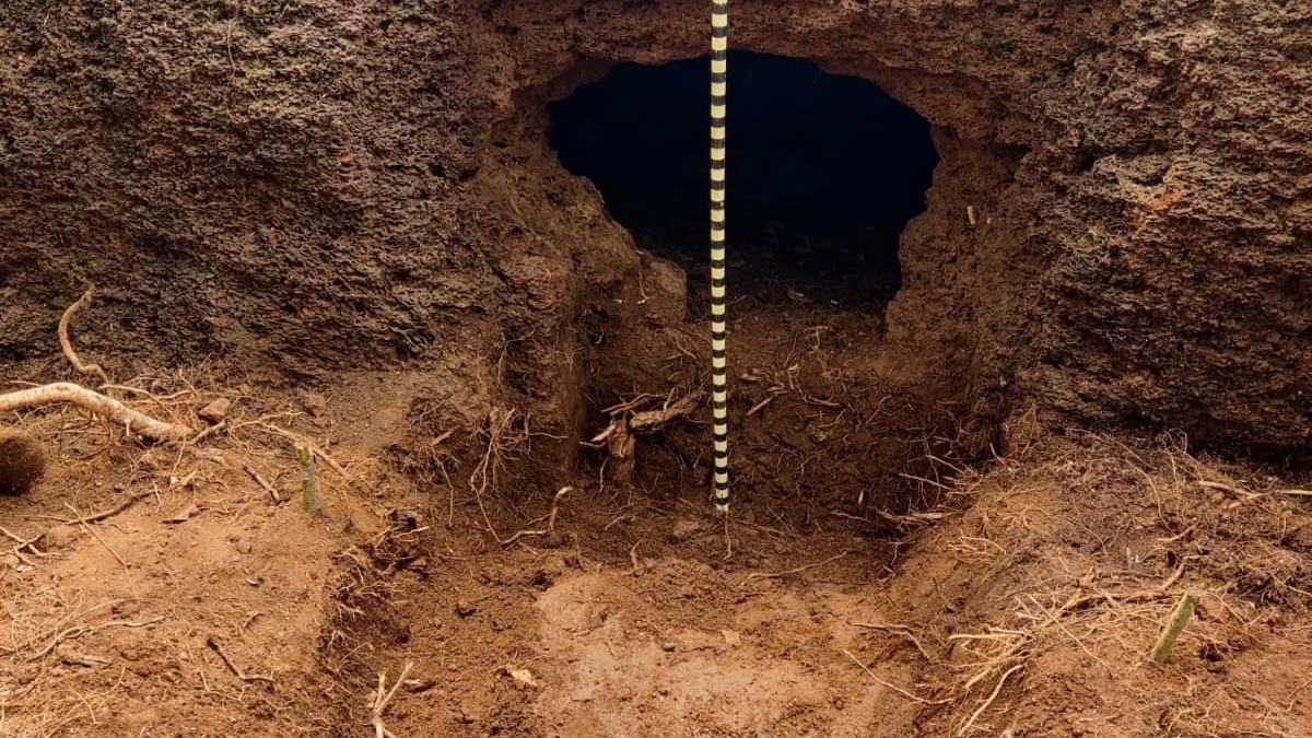 Rock-cut cave from Megalithic period found in Dakshina Kannada, says ...