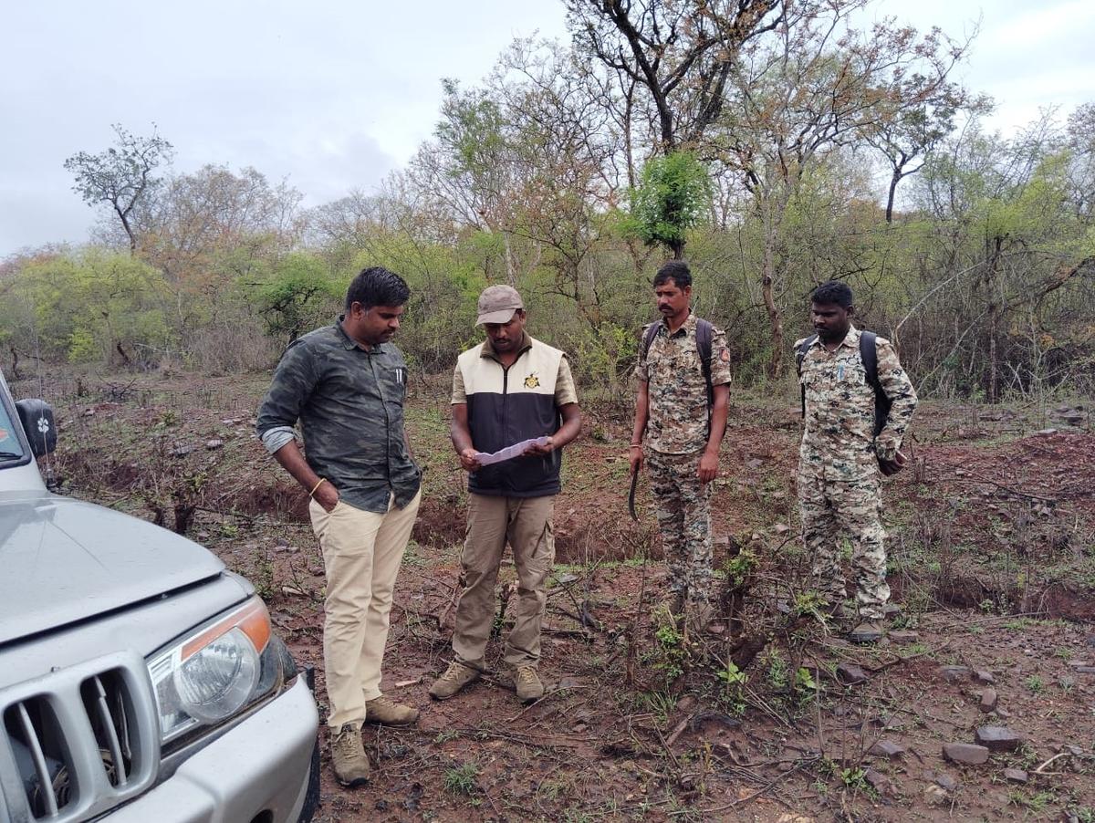 Elephant population enumeration commences in Karnataka - The Hindu