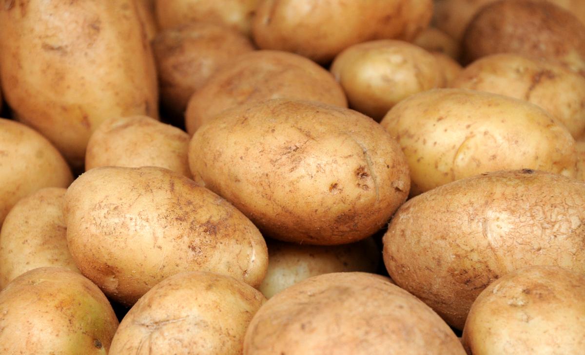 Food for nought: Common food items that were once forbidden to be eaten ...