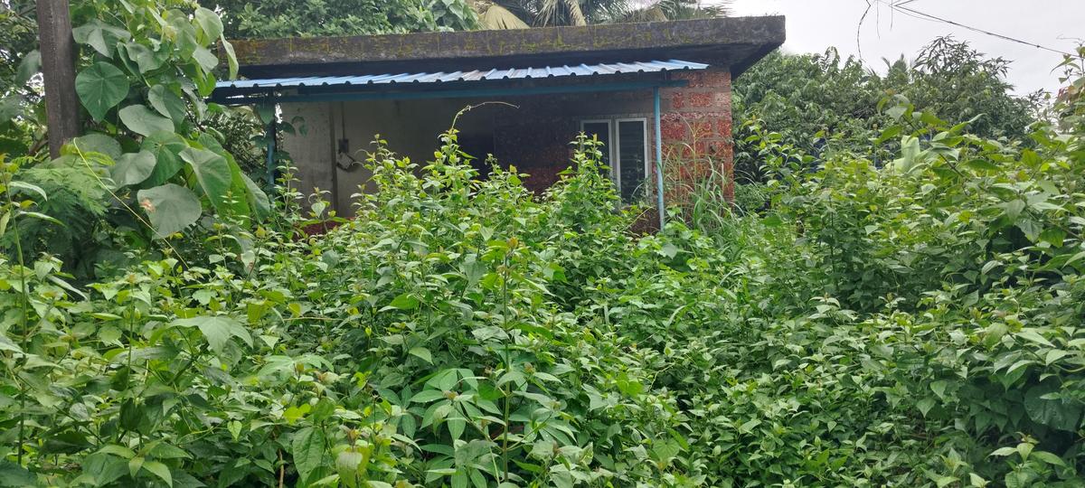 For Chengara land struggle families of Pullur-Periye, freedom still ...