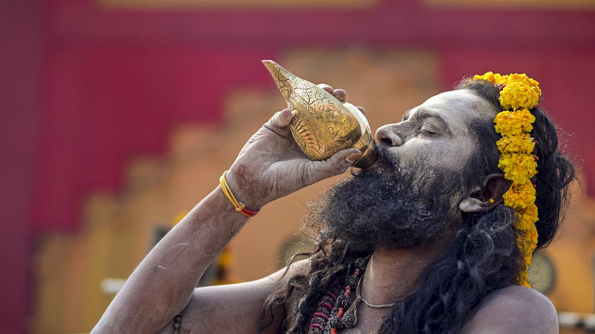 Maha Kumbh: A confluence of faith and culture - The Hindu