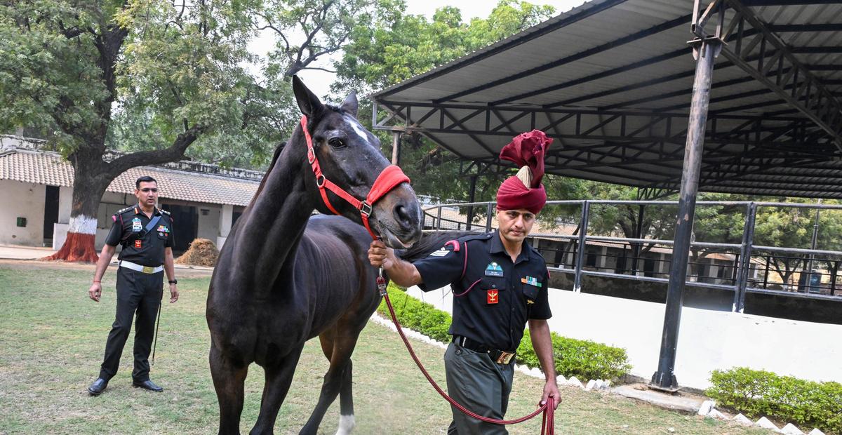 The four-footed warriors in the President’s Bodyguard - The Hindu
