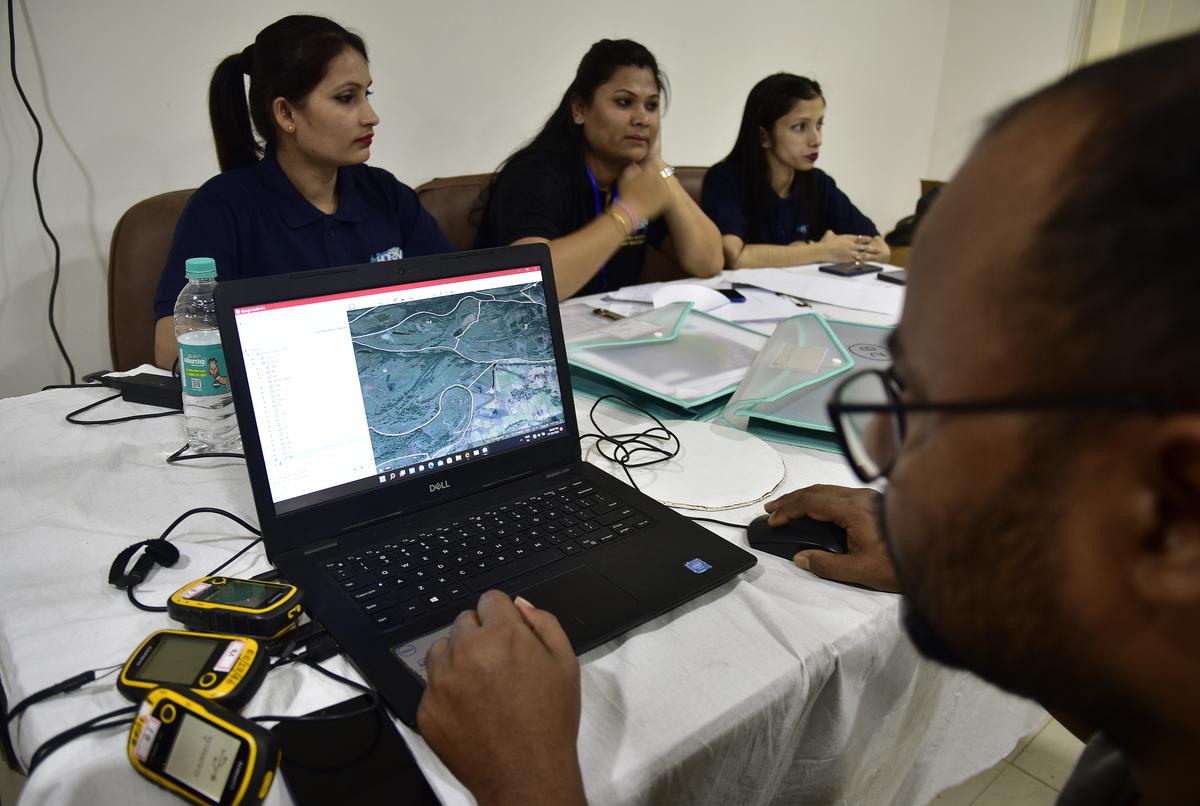 In Frames | Counting rhinos - The Hindu