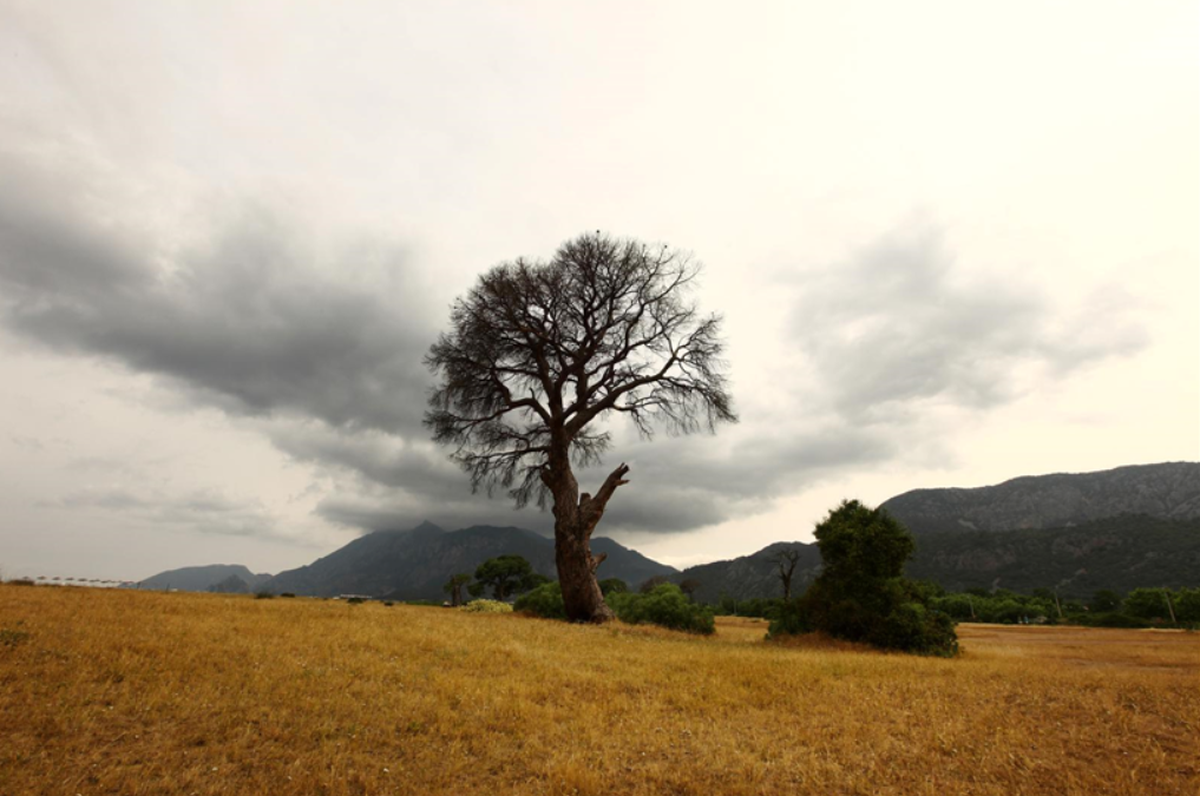 Story of darkness: Review of Easterine Kire’s ‘Spirit Nights’ Nagaland ...