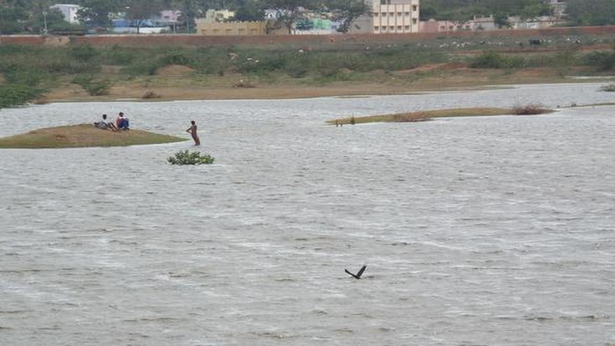 Kurichi Lake, Chinnavedampatti Lake and Oorani Lake get a new lease of ...